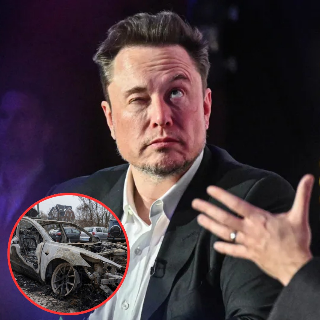 Elon Musk tells Tesla vandals: Stop being crazy, as boycott wave ...